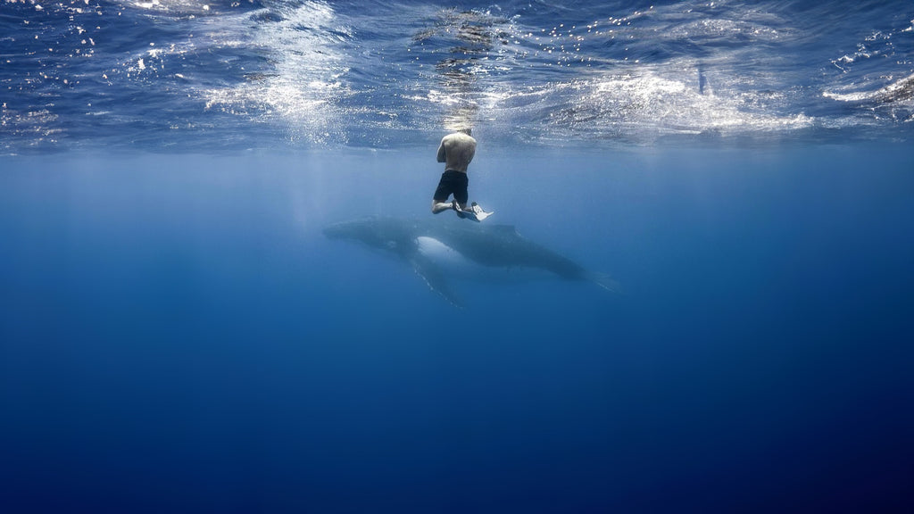 Krillin' it - Kerrin